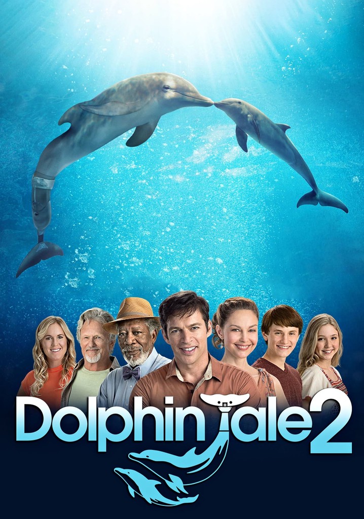 Dolphin Tale 2 streaming: where to watch online?